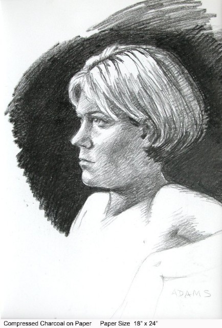 Drawings by James R. C. Adams