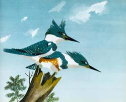 New Page 1 [users.manchester.edu]